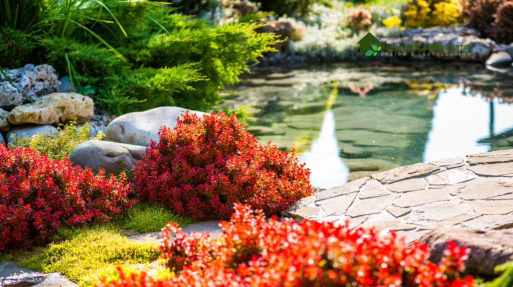 Transform Your Property with Professional Landscape Design